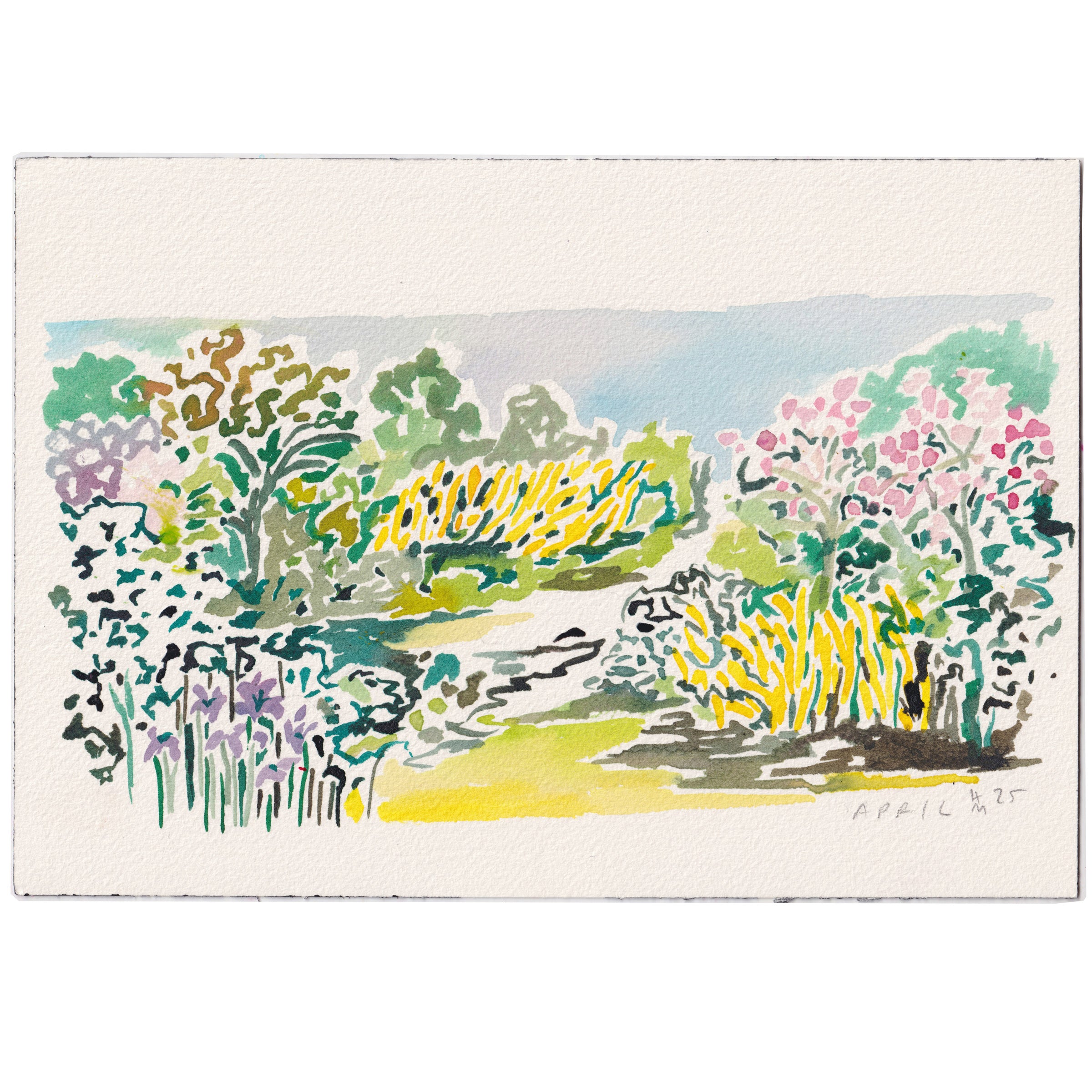 Original Framed Watercolor Study - April